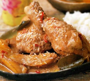 Chicken Opor Recipe – Asian Recipes and Cooking Guide